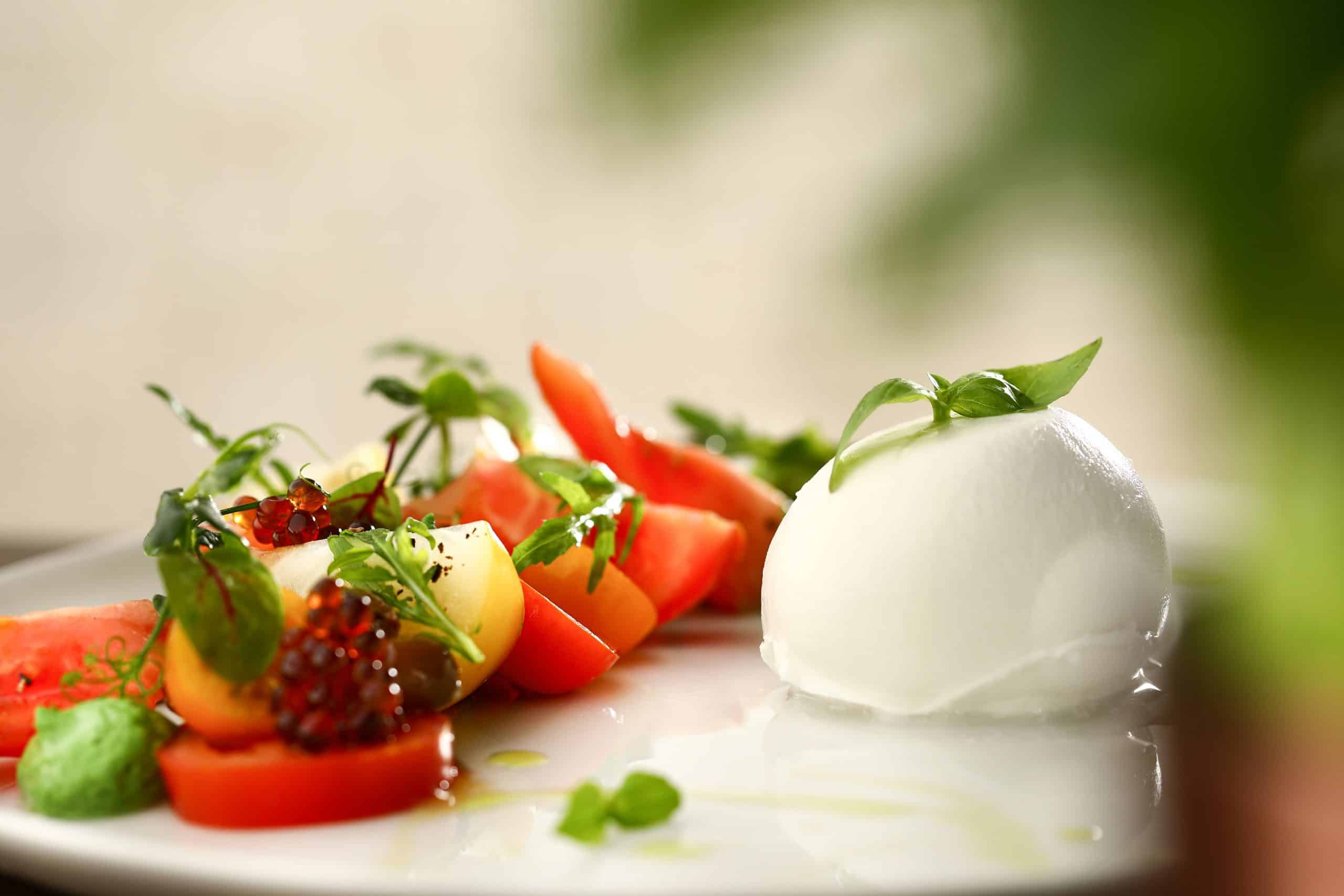 Timo launches an authentic new menu with elevated Italian dishes ...