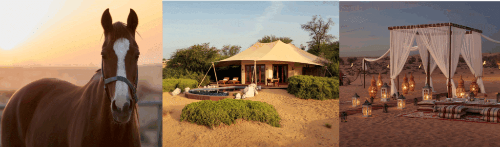 EXPERIENCE EID AL ETIHAD THROUGH THE TIMELESS BEAUTY OF AL MAHA, A ...